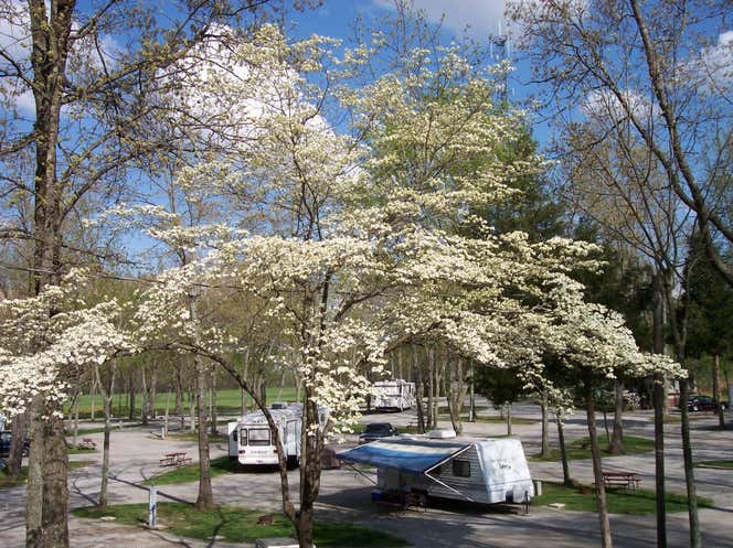 Photo of The Broken Banjo RV Park | Roadtrippers