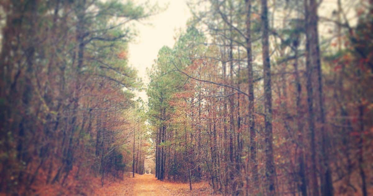 Thacker Mountain Rail Trail, Oxford | Roadtrippers