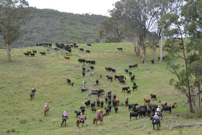 Photo of Leconfield 11 Day Jillaroo and Jackaroo School | Roadtrippers