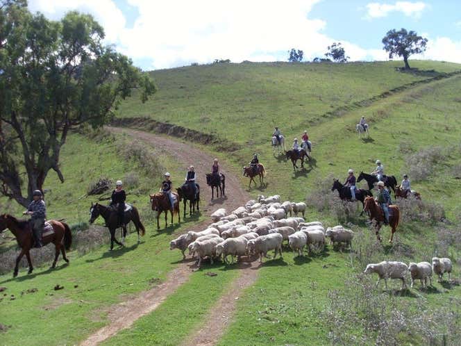 Photo of Leconfield 11 Day Jillaroo and Jackaroo School | Roadtrippers