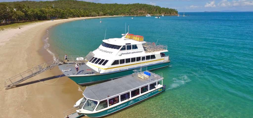 Freedom Fast Cats, Queensland | Roadtrippers