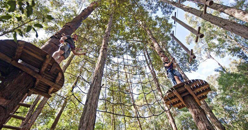 Tree Top Adventure Park, New South Wales | Roadtrippers