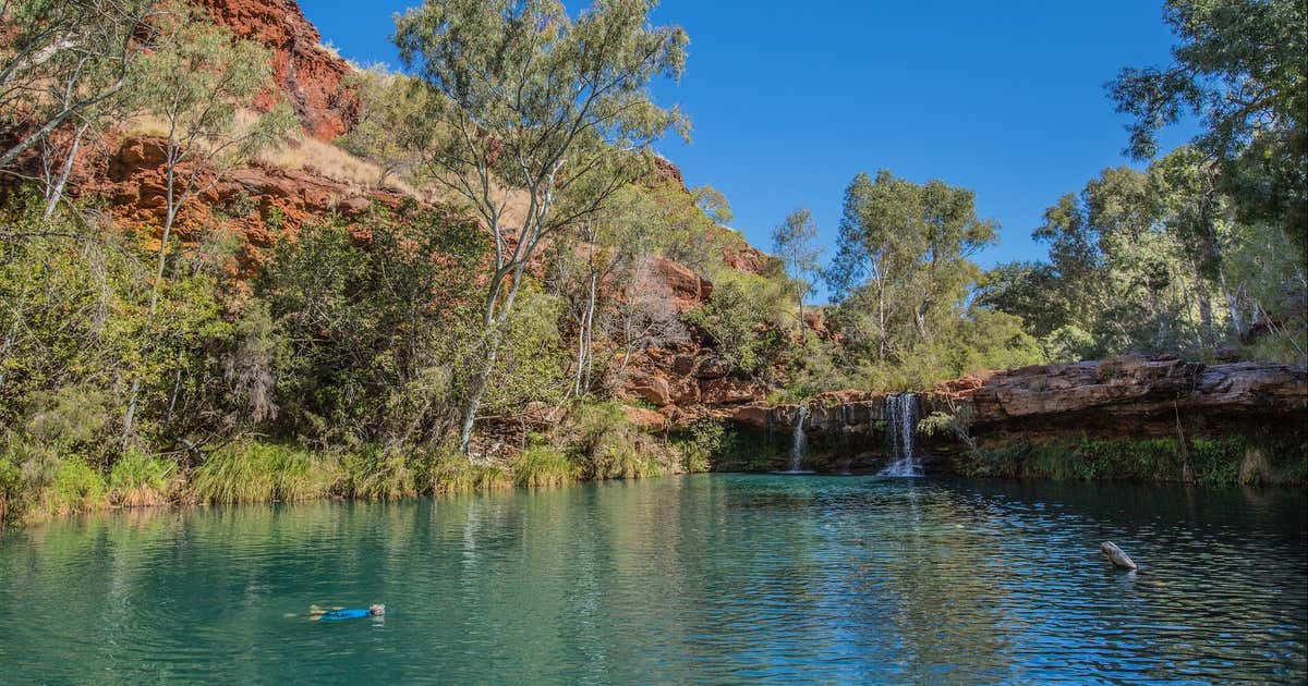 Fern Pool, Western Australia | Roadtrippers