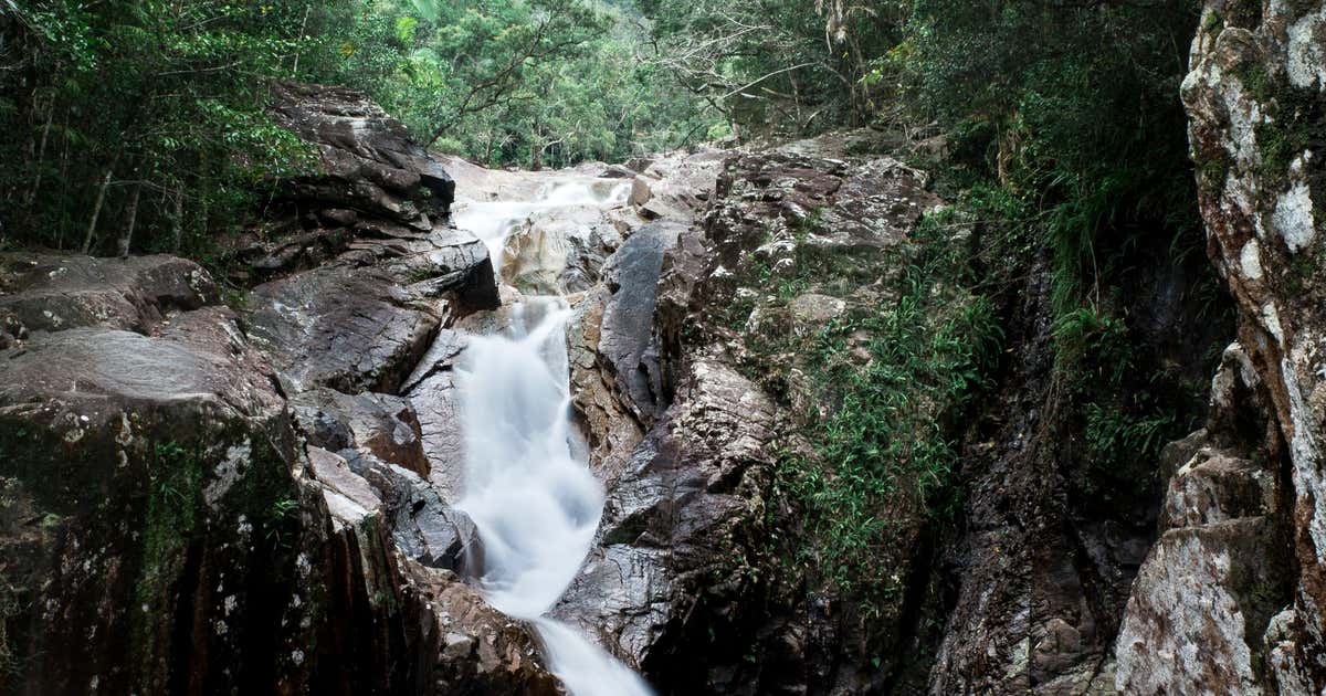 Finch Hatton Gorge, Queensland | Roadtrippers