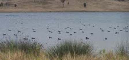 Lake Liddell Recreation Area, New South Wales | Roadtrippers