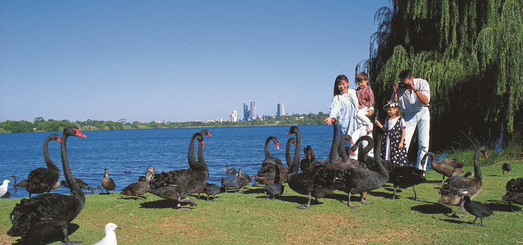 Lake Monger, Perth | Roadtrippers