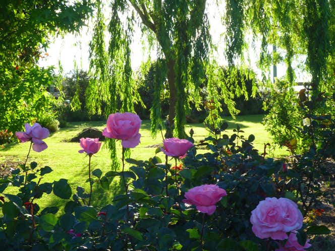 Photo of Cobargo Open Garden Farm Tour | Roadtrippers