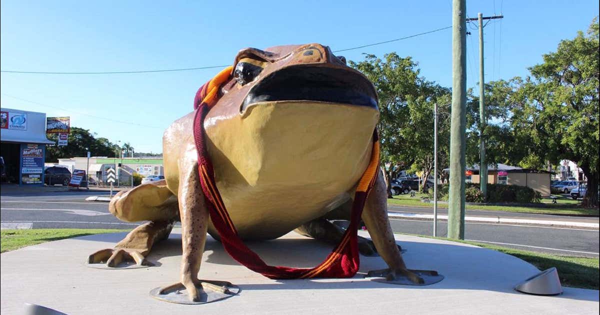 Big Cane Toad, Queensland | Roadtrippers