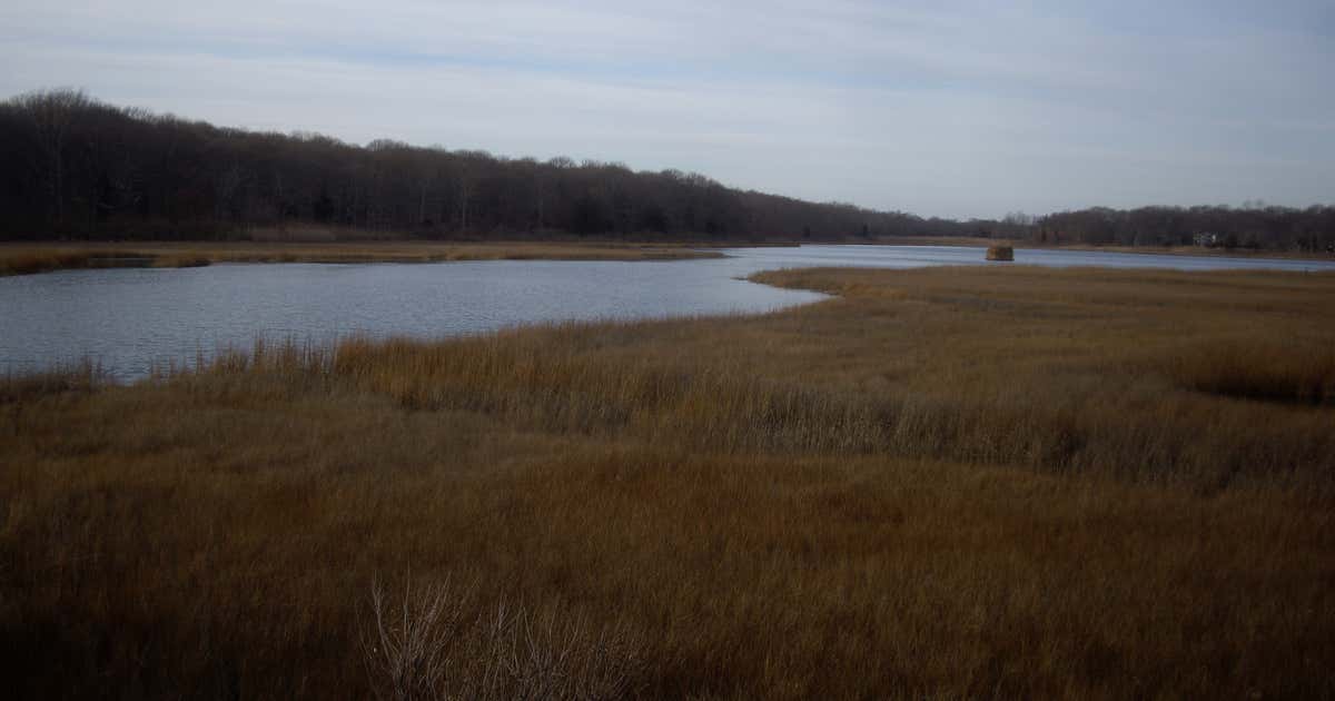 Fort Corchaug Archeological Site, New York | Roadtrippers