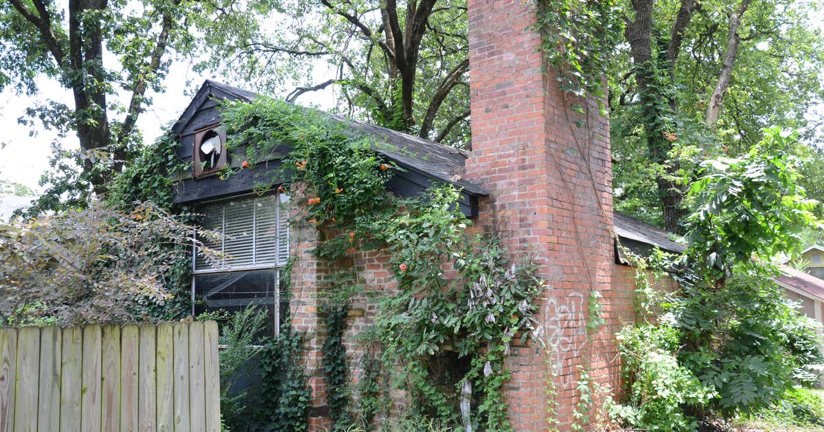 Adrian Brewer Studio, Little Rock | Roadtrippers