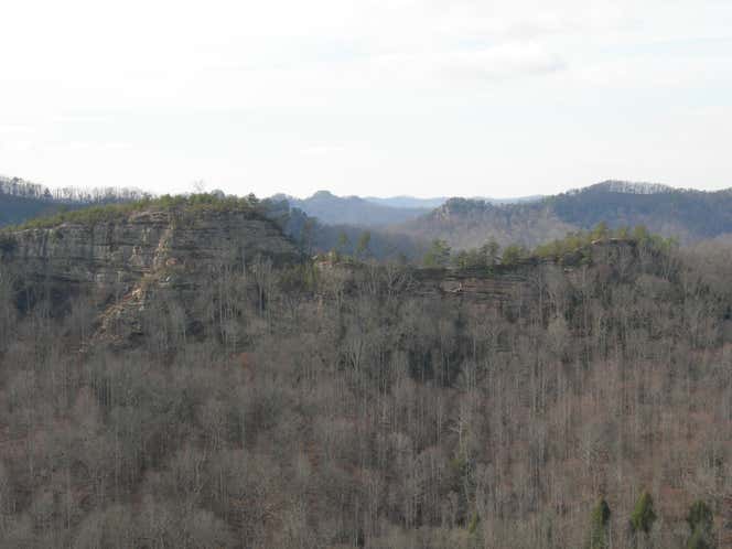 Photo of Red River Gorge Geological Area | Roadtrippers