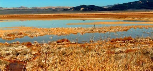 Harper Lake, California | Roadtrippers
