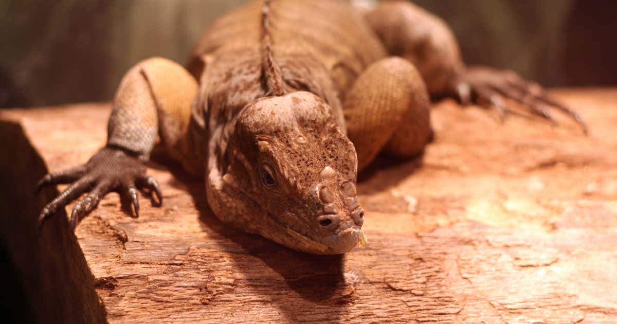 Greensboro Science Center, Greensboro | Roadtrippers