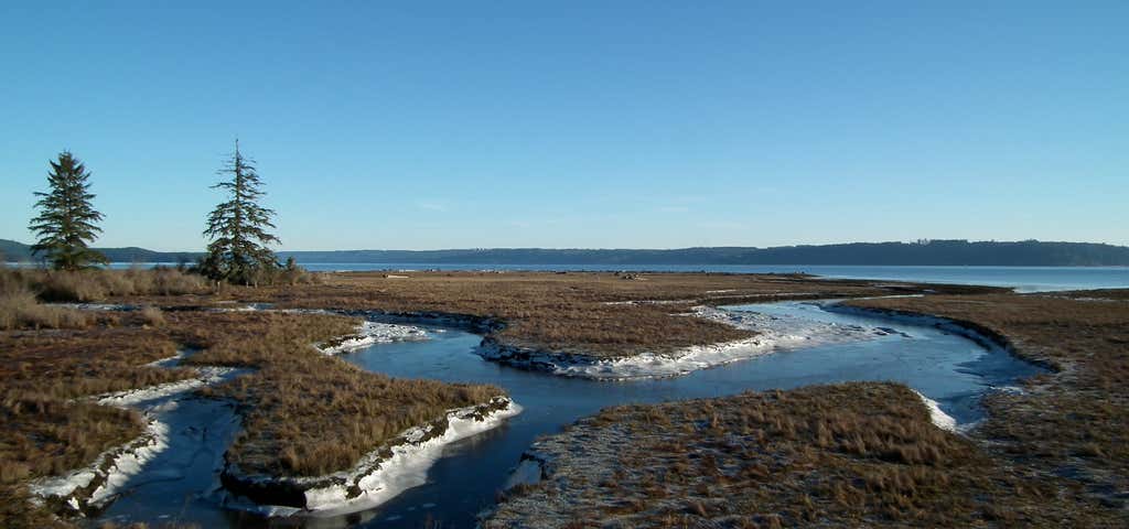 Dosewallips State Park, Washington | Roadtrippers