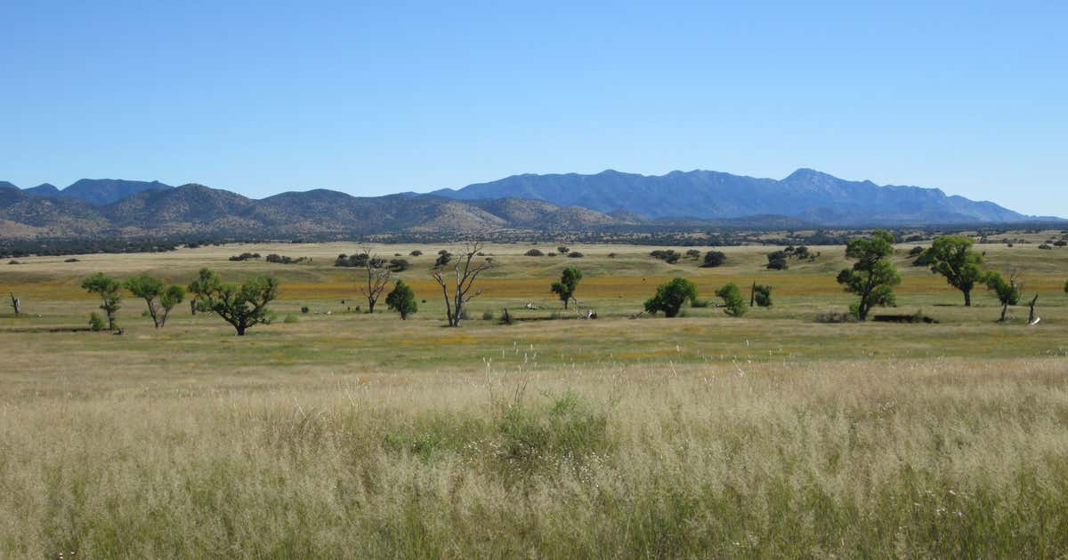 San Rafael Valley, Arizona | Roadtrippers