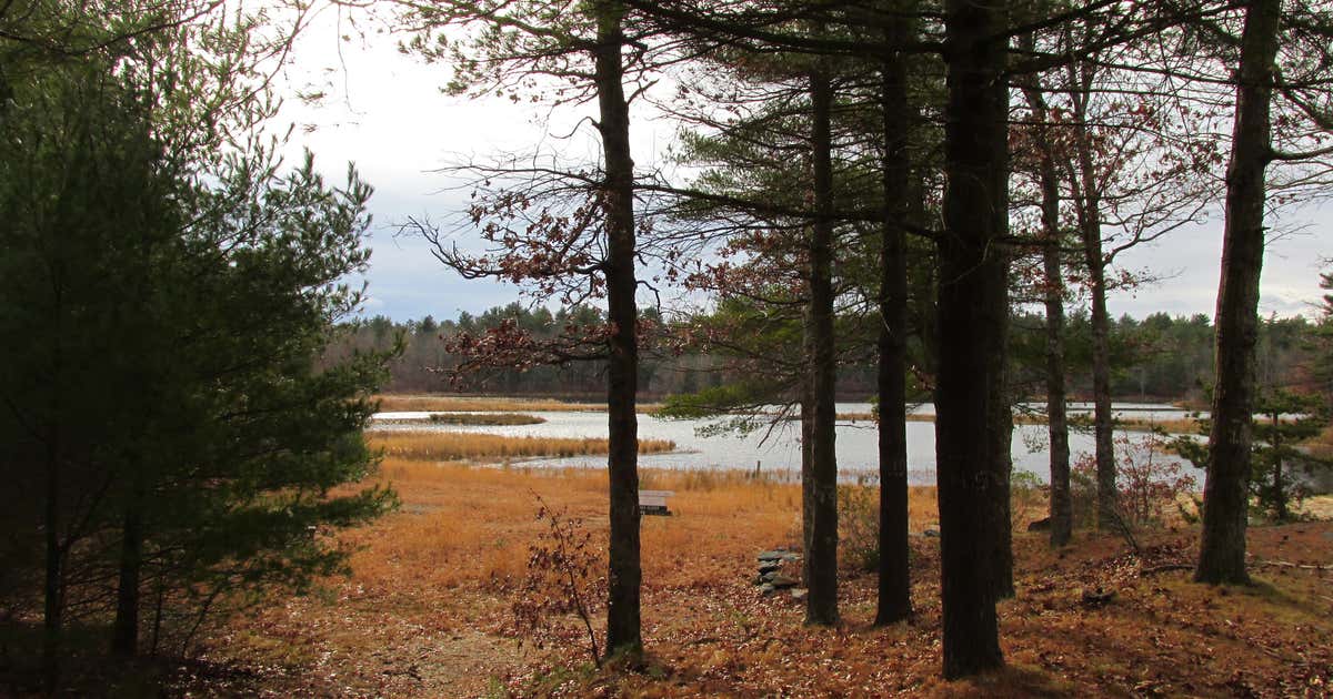 Massasoit State Park, Taunton | Roadtrippers