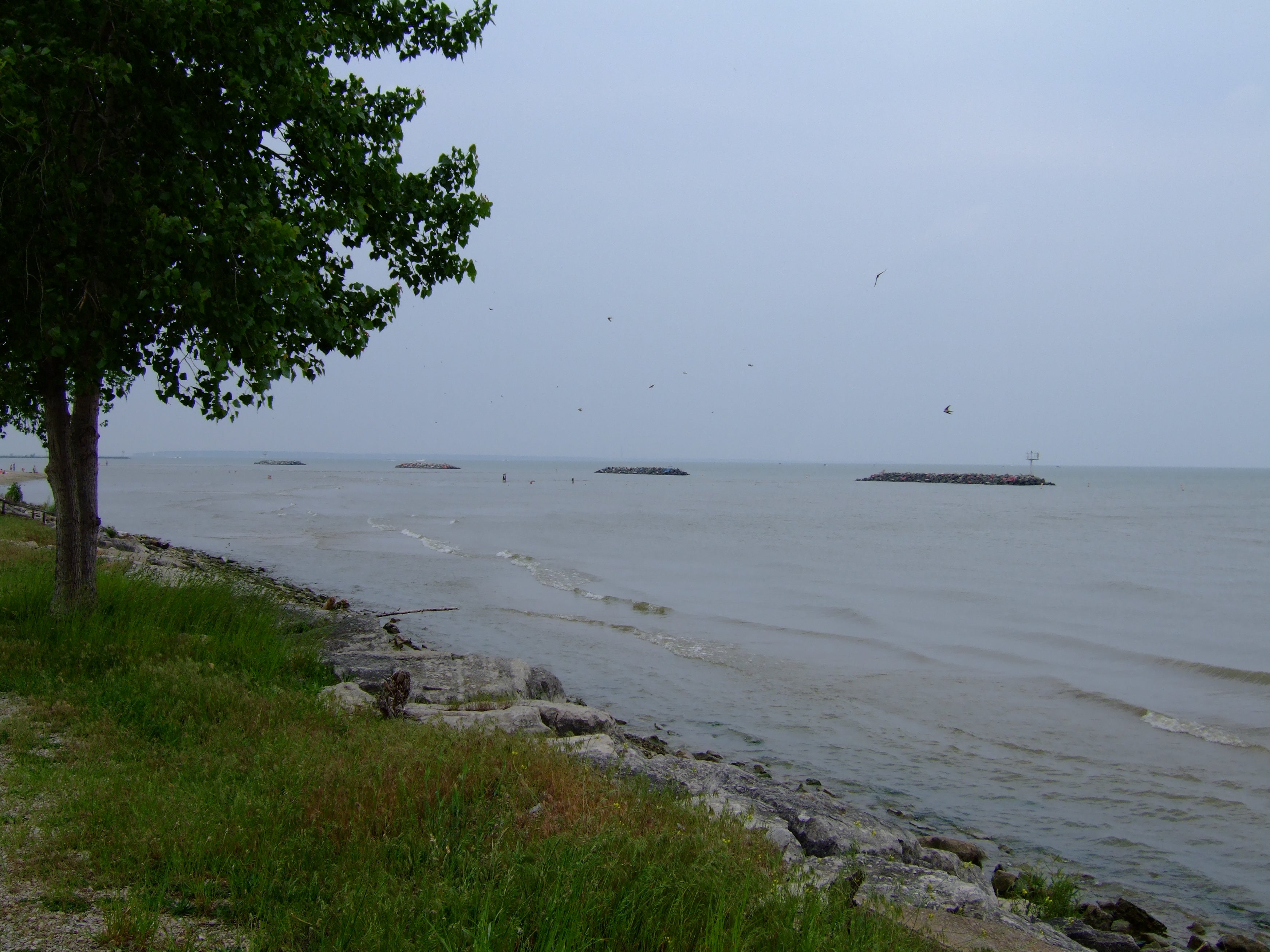 East Harbor State Park Campground, Ohio | Campendium