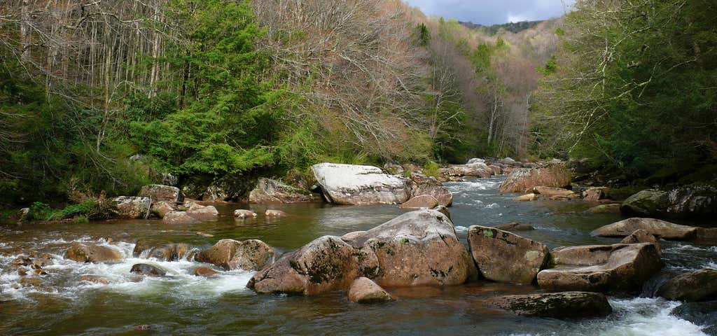 Williams River, West Virginia | Roadtrippers