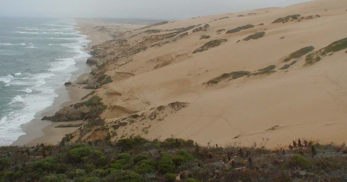 Guadalupe-Nipomo Dunes, California | Roadtrippers