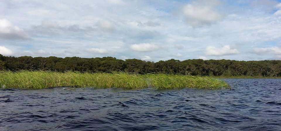 Lake Pithlachocco Canoe Site, Florida | Roadtrippers
