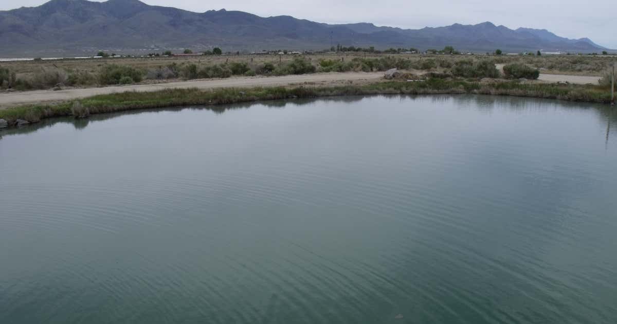 Great Boiling Spring Park, Nevada | Roadtrippers