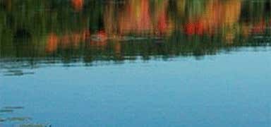 Little Cedar Lake, Wisconsin | Roadtrippers