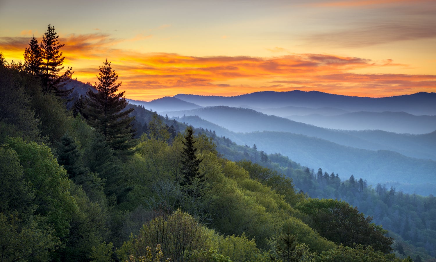 Great Smoky Mountains National Park, Gatlinburg | Roadtrippers