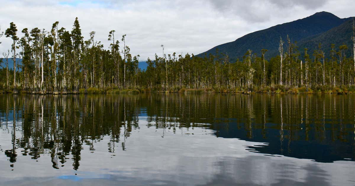 Bain Bay Track, Canterbury | Roadtrippers
