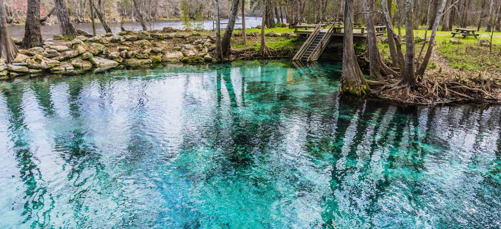 The ultimate guide to Central Florida's stunning springs | Roadtrippers