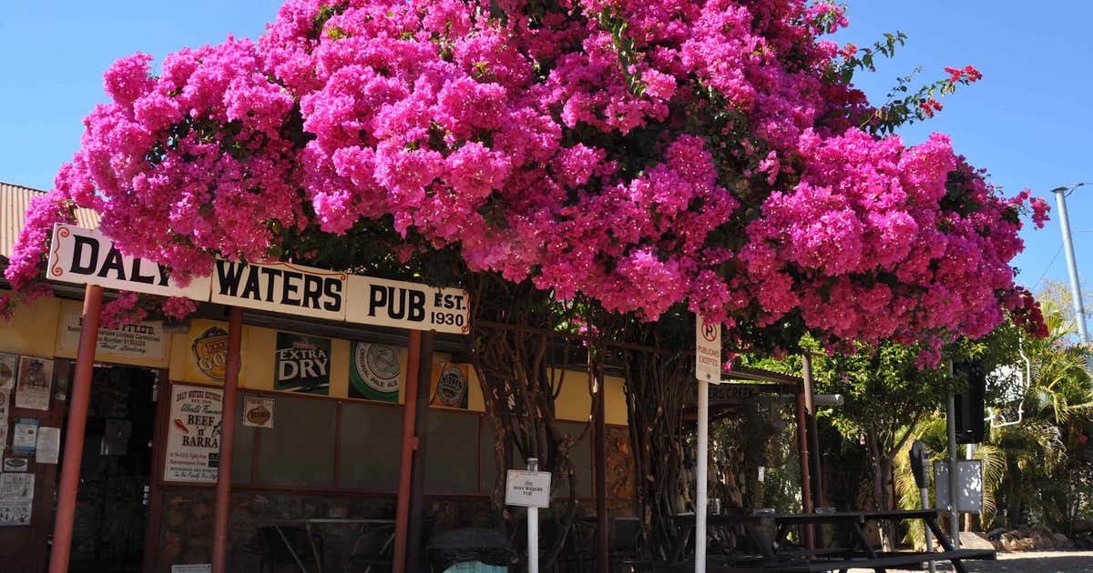Daly Waters Historic Pub, Daly Waters | Roadtrippers