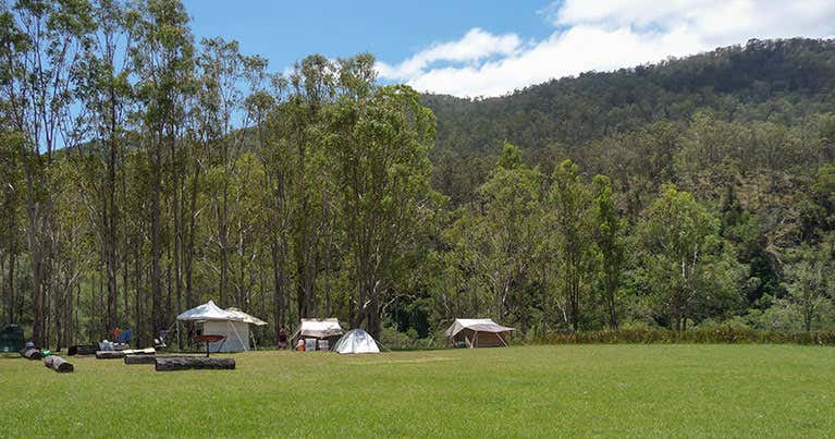 Dalmorton Campground, Guy Fawkes River National Park, New South Wales ...