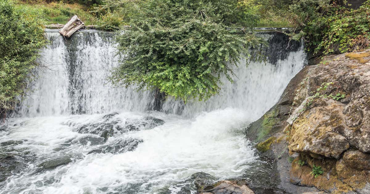 Tumwater Falls Park, Tumwater | Roadtrippers