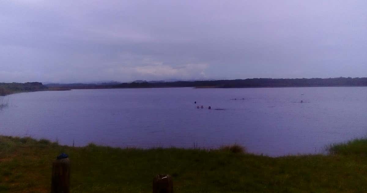 Coca Cola Lake, North Island | Roadtrippers