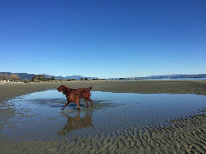 Photo of Tahunanui Beach | Roadtrippers