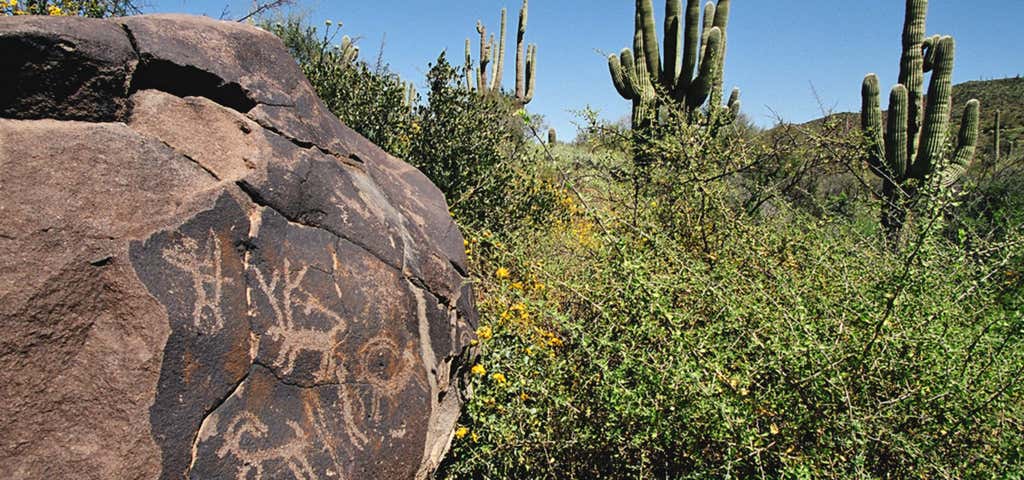 Spur Cross Ranch Conservation Area, Cave Creek | Roadtrippers