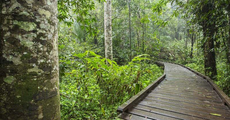 Mackay Highlands Great Walk, Queensland | Roadtrippers