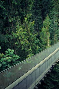 Photo of Capilano Suspension Bridge & Cliffwalk | Roadtrippers