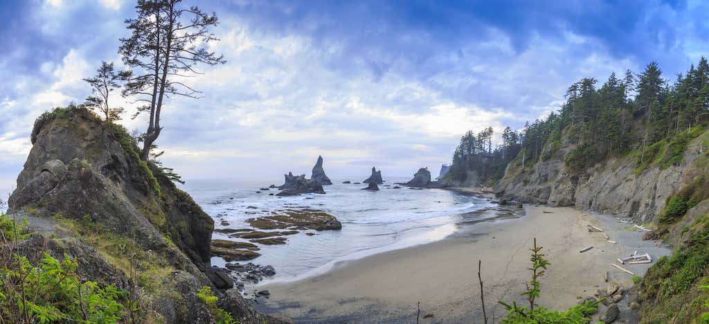 The Pacific Northwest's most stunning hidden beaches | Roadtrippers