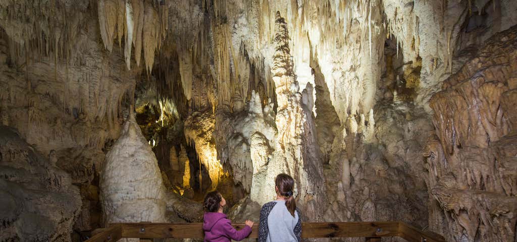 Aranui Caves - Waitomo, Waikato | Roadtrippers