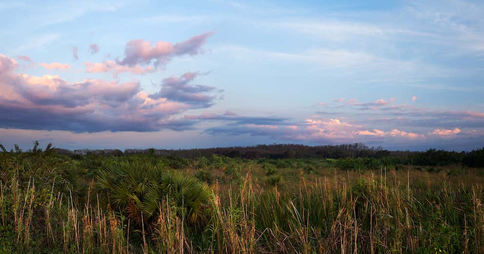 Big Cypress Indian Reservation, Clewiston | Roadtrippers