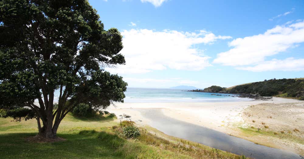 Anchor Bay, North Island | Roadtrippers