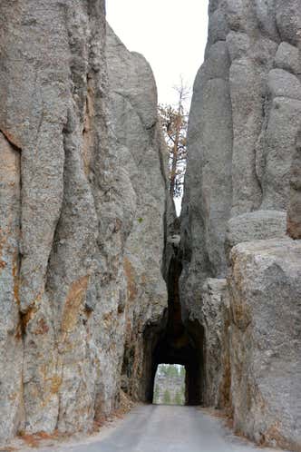 Photo of Needles Highway | Roadtrippers