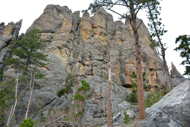 Photo of Needles Highway | Roadtrippers