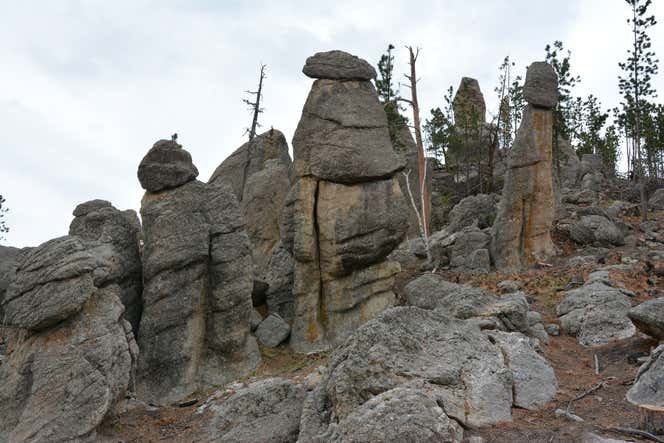Photo of Needles Highway | Roadtrippers