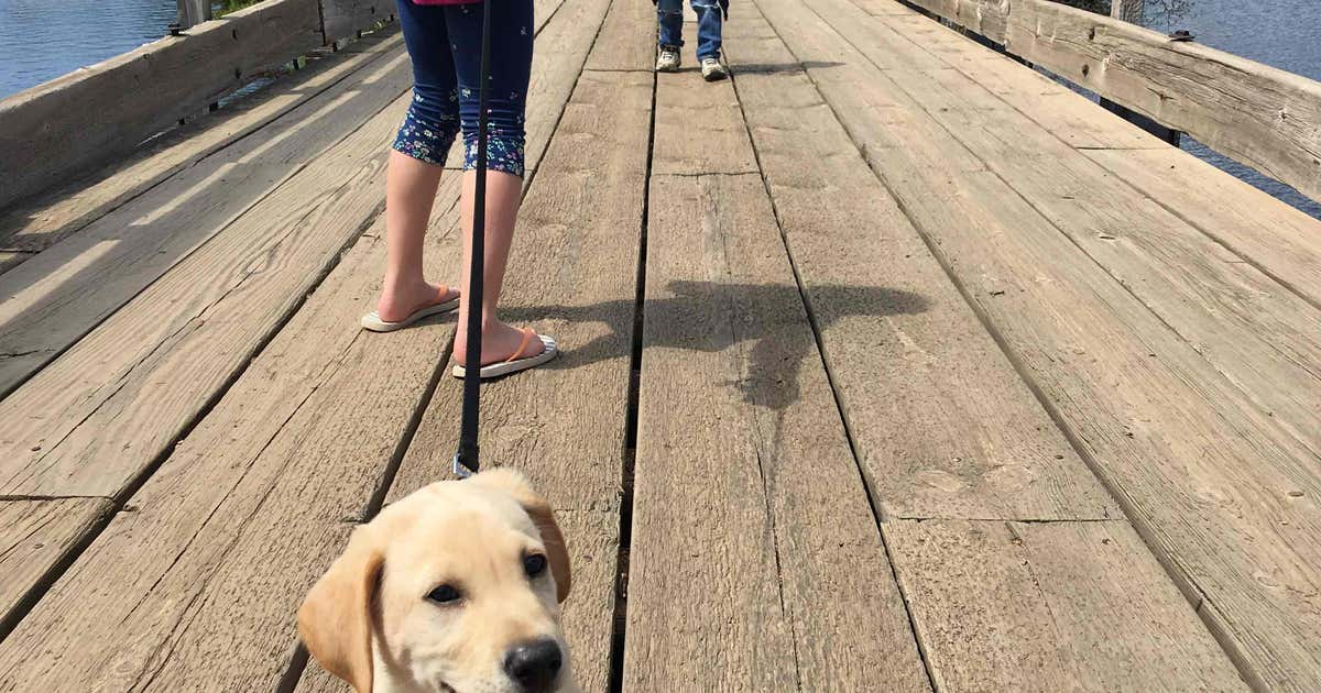 Bearskin State Trail, Minocqua | Roadtrippers