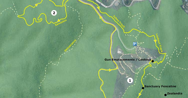 Mount Victoria Loop, North Island | Roadtrippers