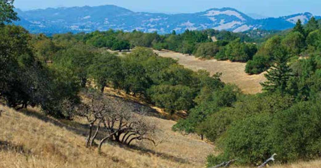 Annadel State Park, Santa Rosa | Roadtrippers