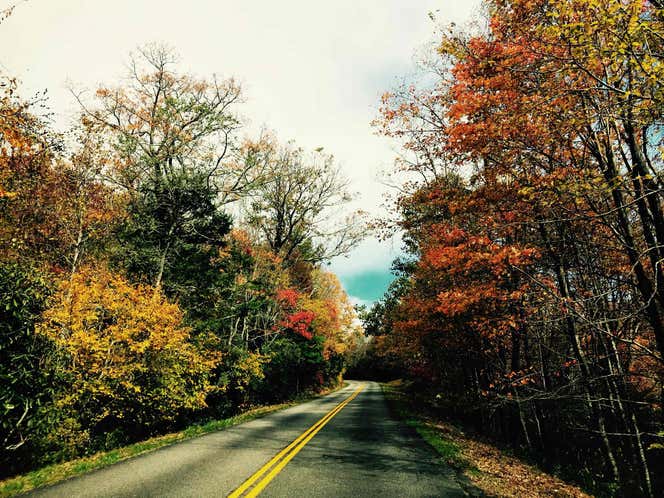 Photo of Blue Ridge Parkway | Roadtrippers