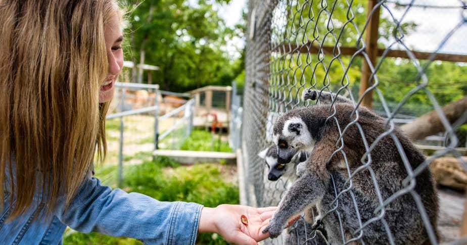 Branson's Promised Land Zoo, Branson | Roadtrippers