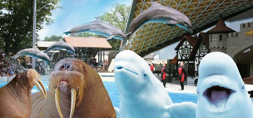 MarineLand, Ontario | Roadtrippers